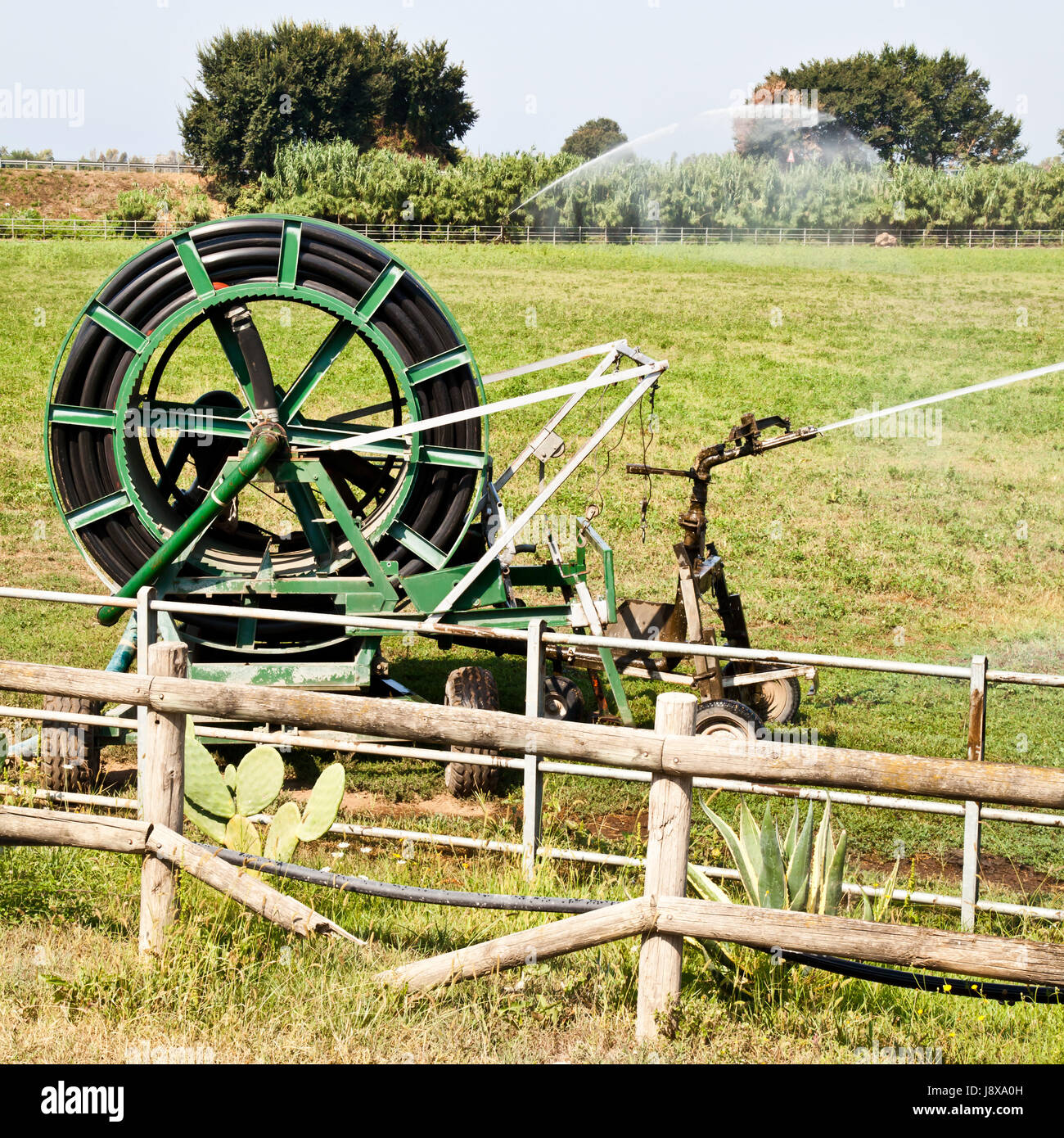 food, aliment, health, colour, wheel, ground, soil, earth, humus ...