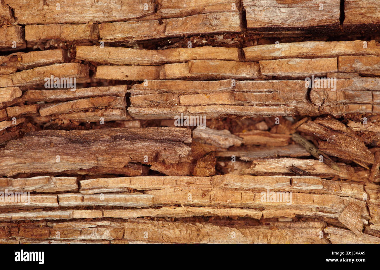 object, surface, pattern, textured, backdrop, background, colour ...