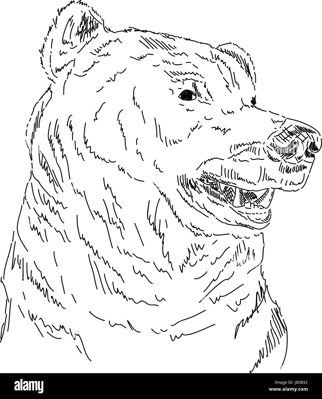 isolated, colour, animal, illustration, paint, draw, cartoon, danger ...