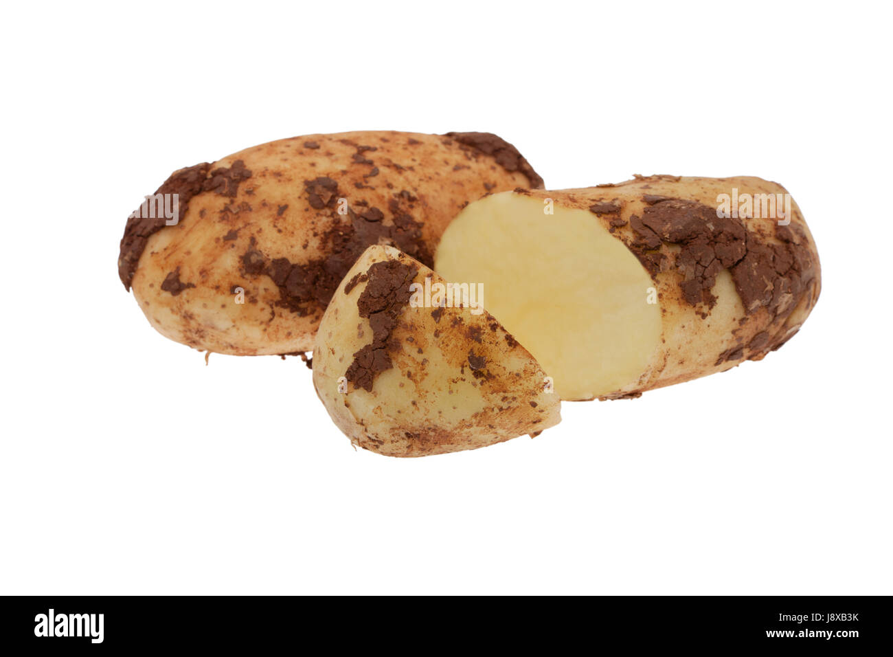 optional, mud, vegetable, globe, planet, earth, world, basic foods ...