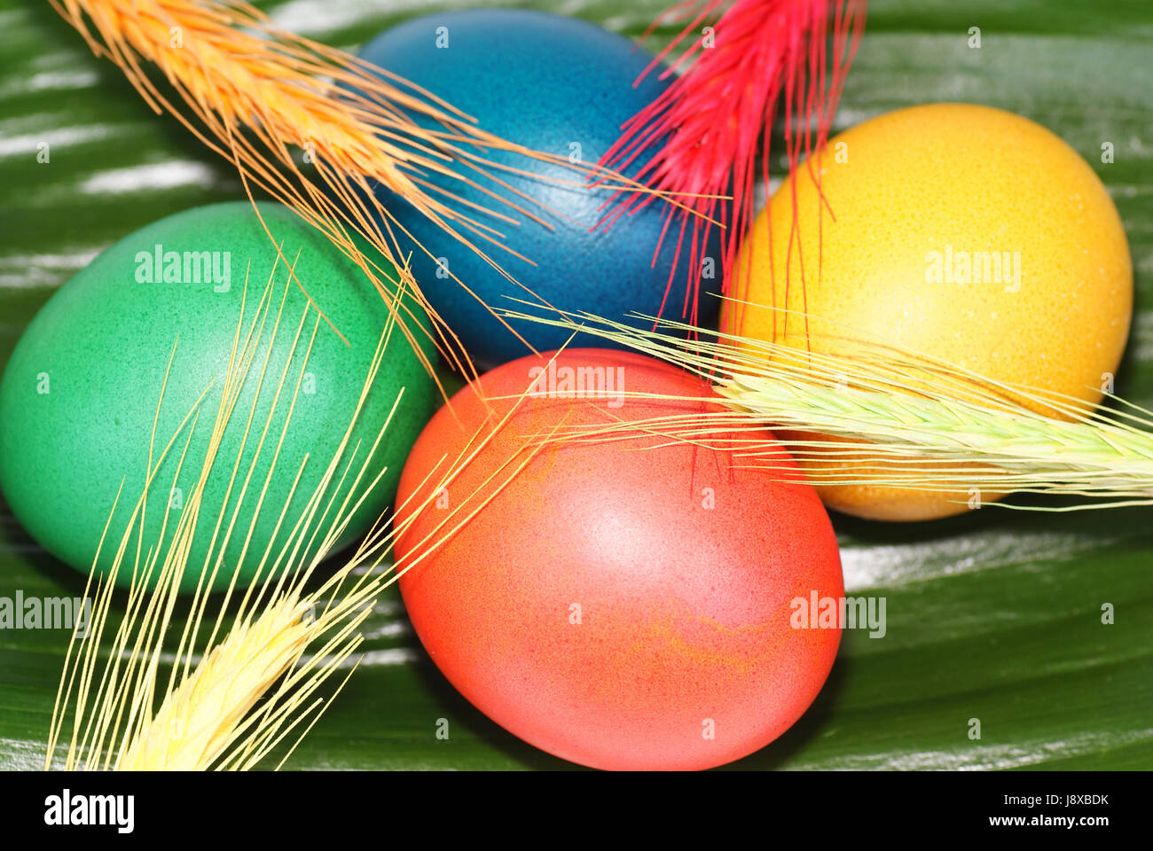coloured, colourful, gorgeous, multifarious, richly coloured, four ...