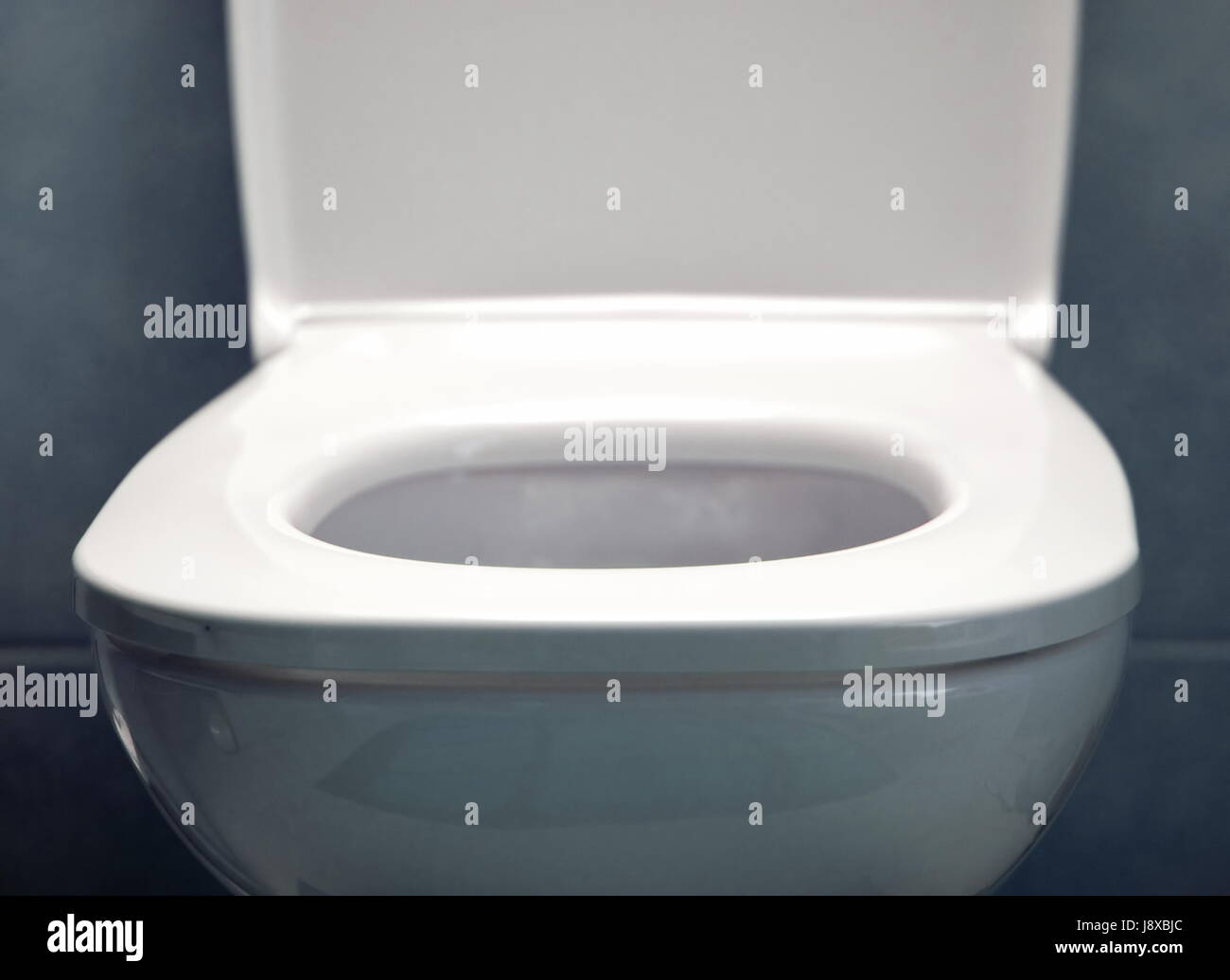 toilet, sanitary, hygiene, bathroom, shit, muck, excrement, health ...