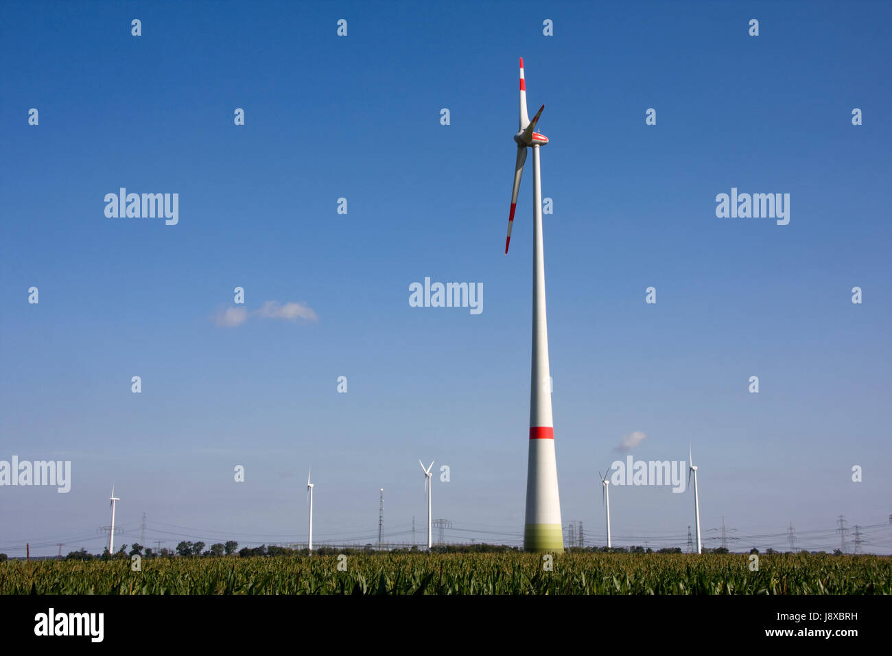 wind energy, wind farm, pinwheel, industry, industrial plant, wind ...