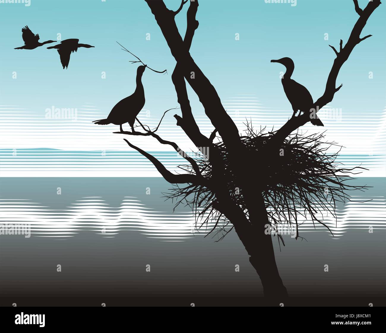 Black drawing of birds hi-res stock photography and images - Alamy