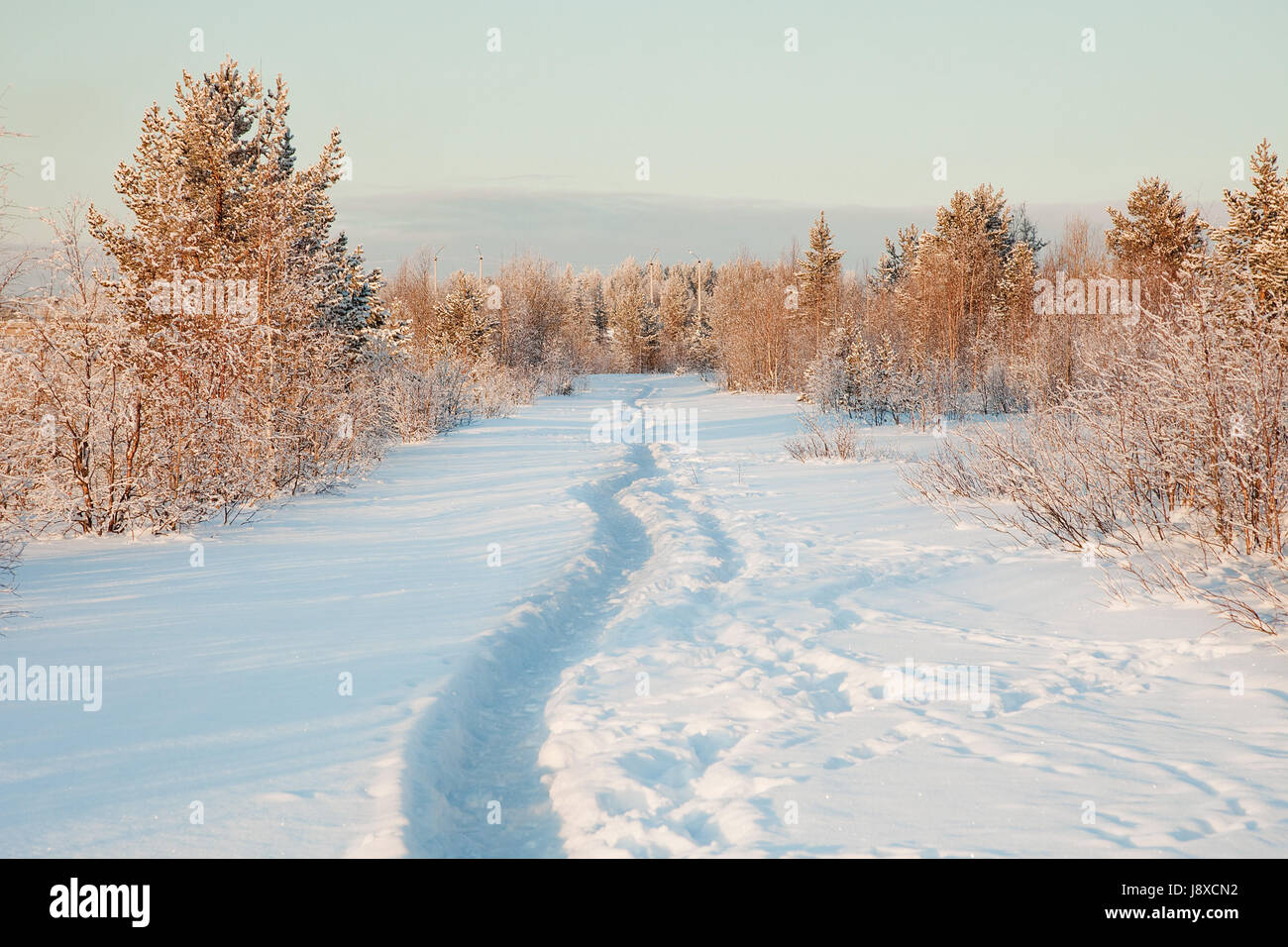tree, sight, view, outlook, perspective, vista, panorama, lookout ...