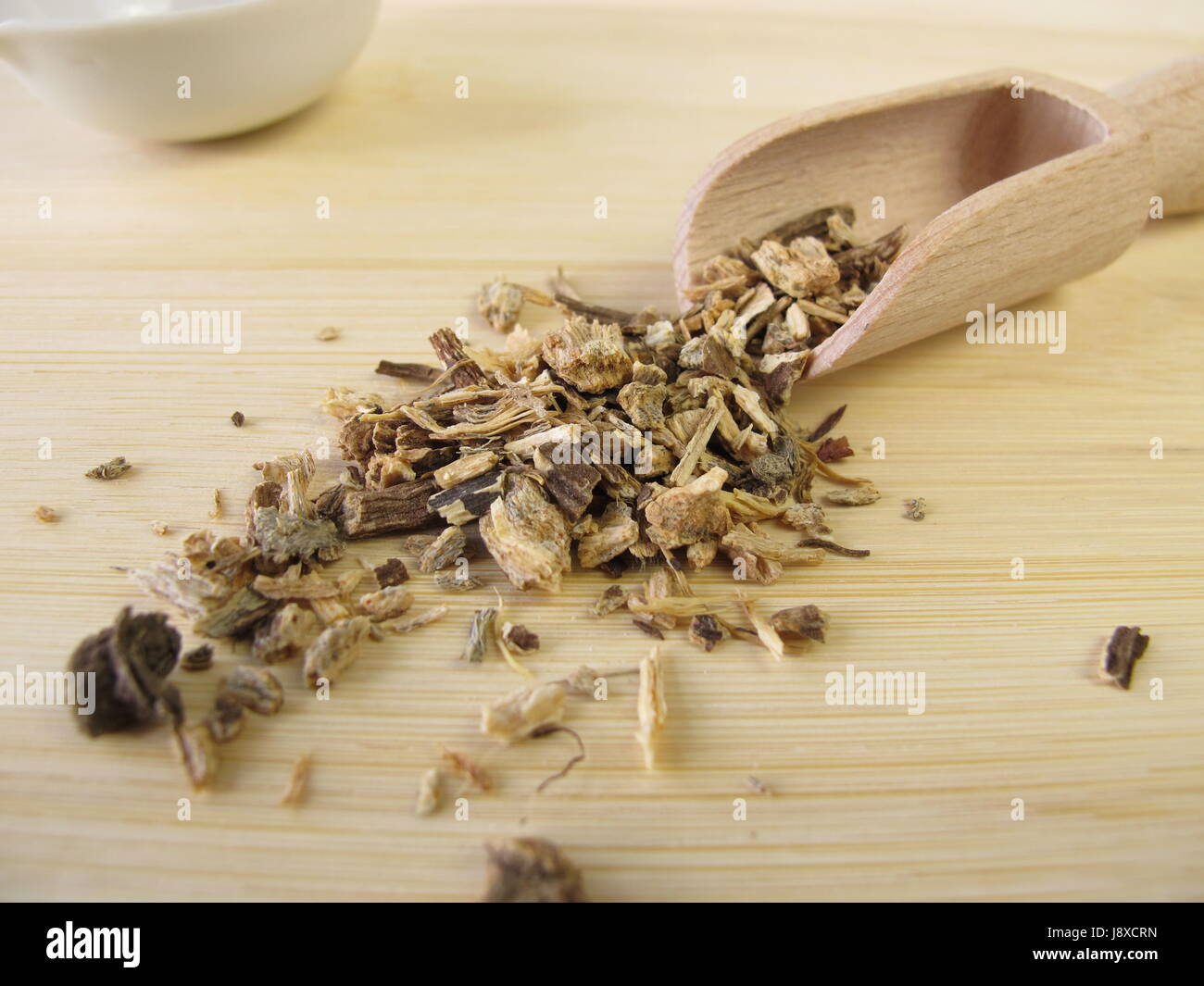 narrow coneflower root,echinaceae angustifoliae radix Stock Photo - Alamy