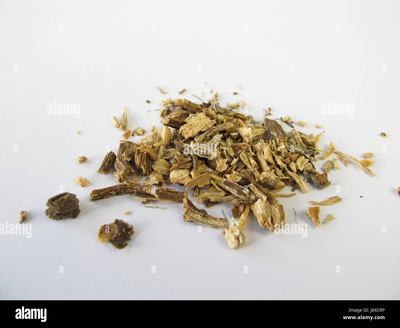 narrow coneflower root,echinaceae angustifoliae radix Stock Photo - Alamy