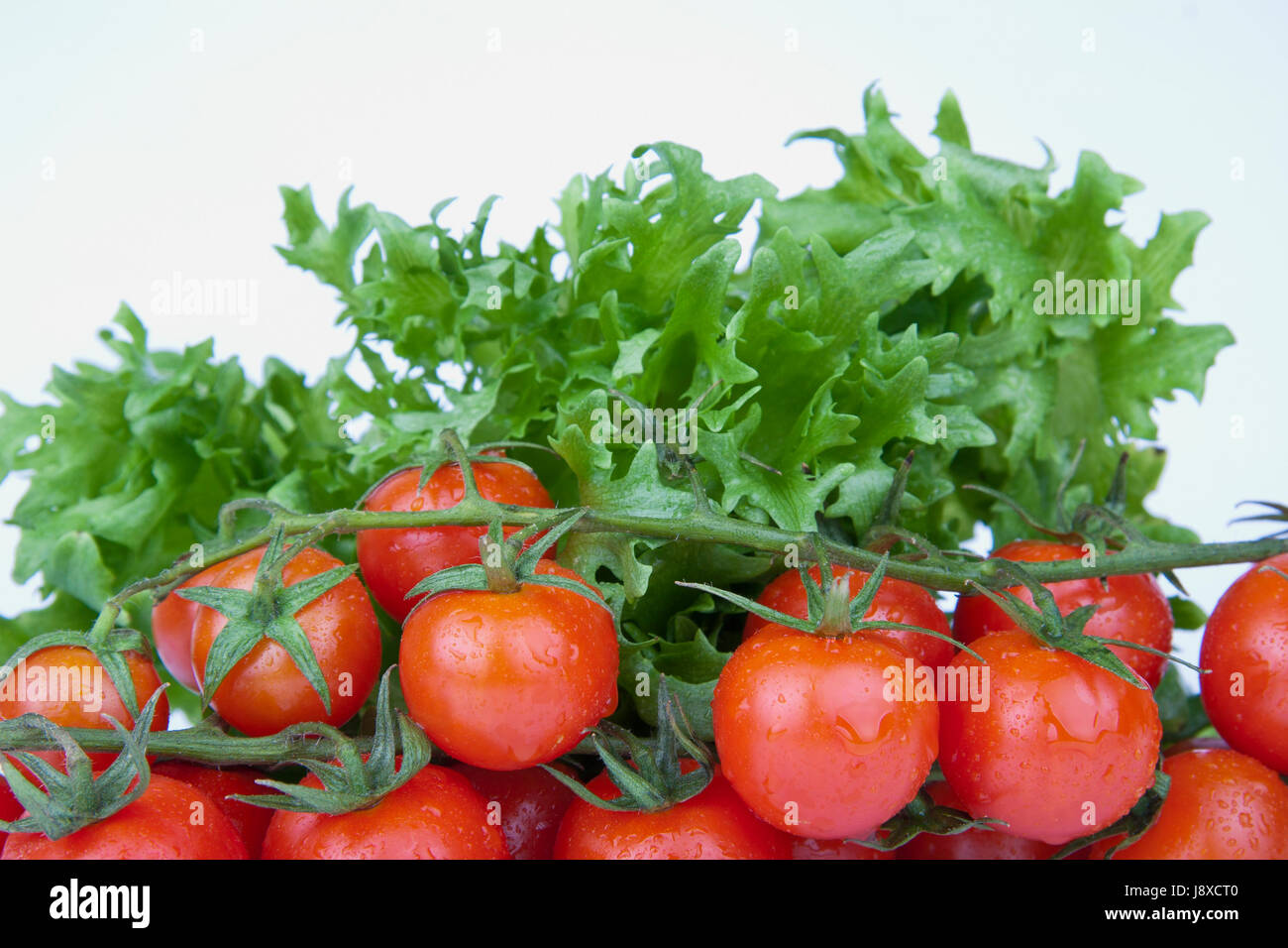 food, aliment, green, branch, vegetable, raw, cherry, dish, meal, juicy ...