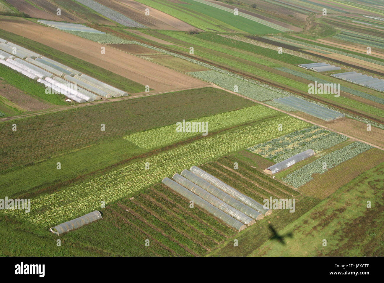 till, travel, environment, enviroment, flight, bird, agriculture ...