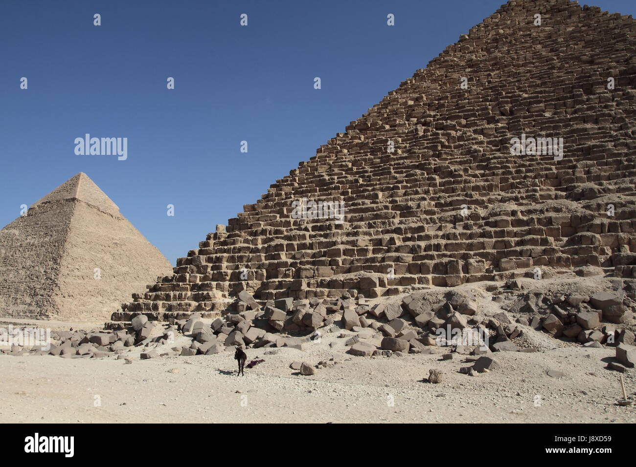 tourism, camel, pyramid, cairo, egypt, pyramids, tourism, camel ...