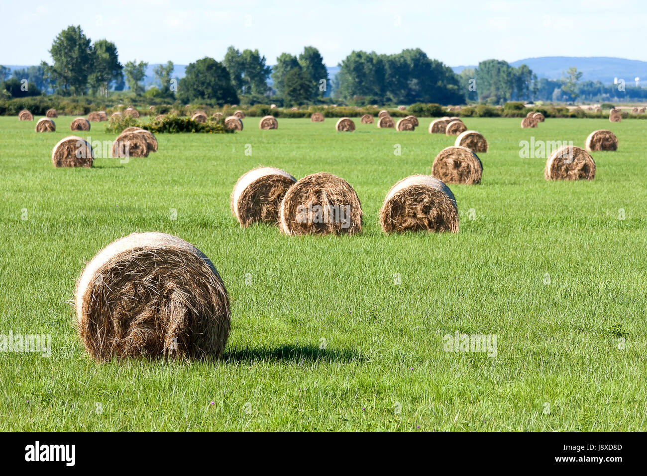 Hay packet hi-res stock photography and images - Alamy