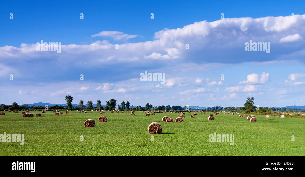 agriculture, farming, outdoor, hay, hungary, land, realty, ground ...