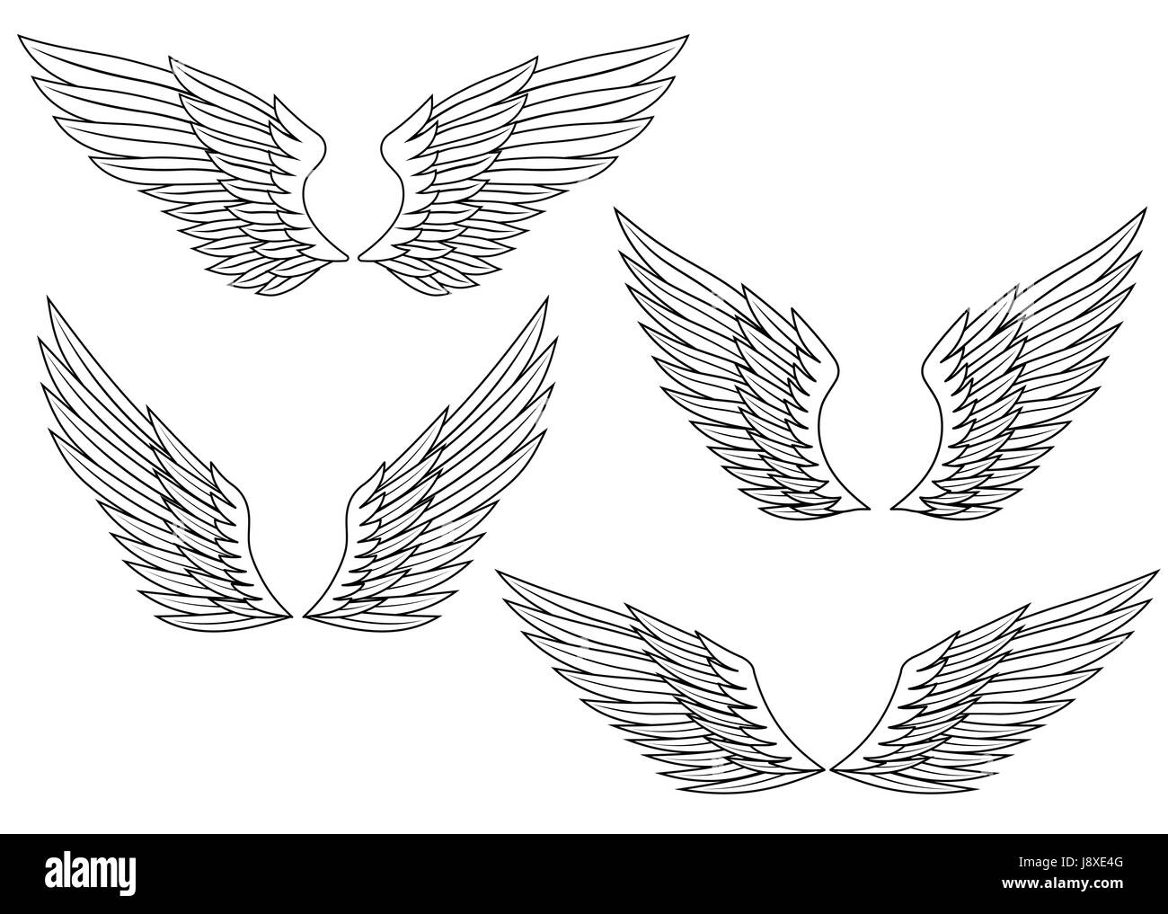 black, swarthy, jetblack, deep black, wing, angel, angels, heraldry ...