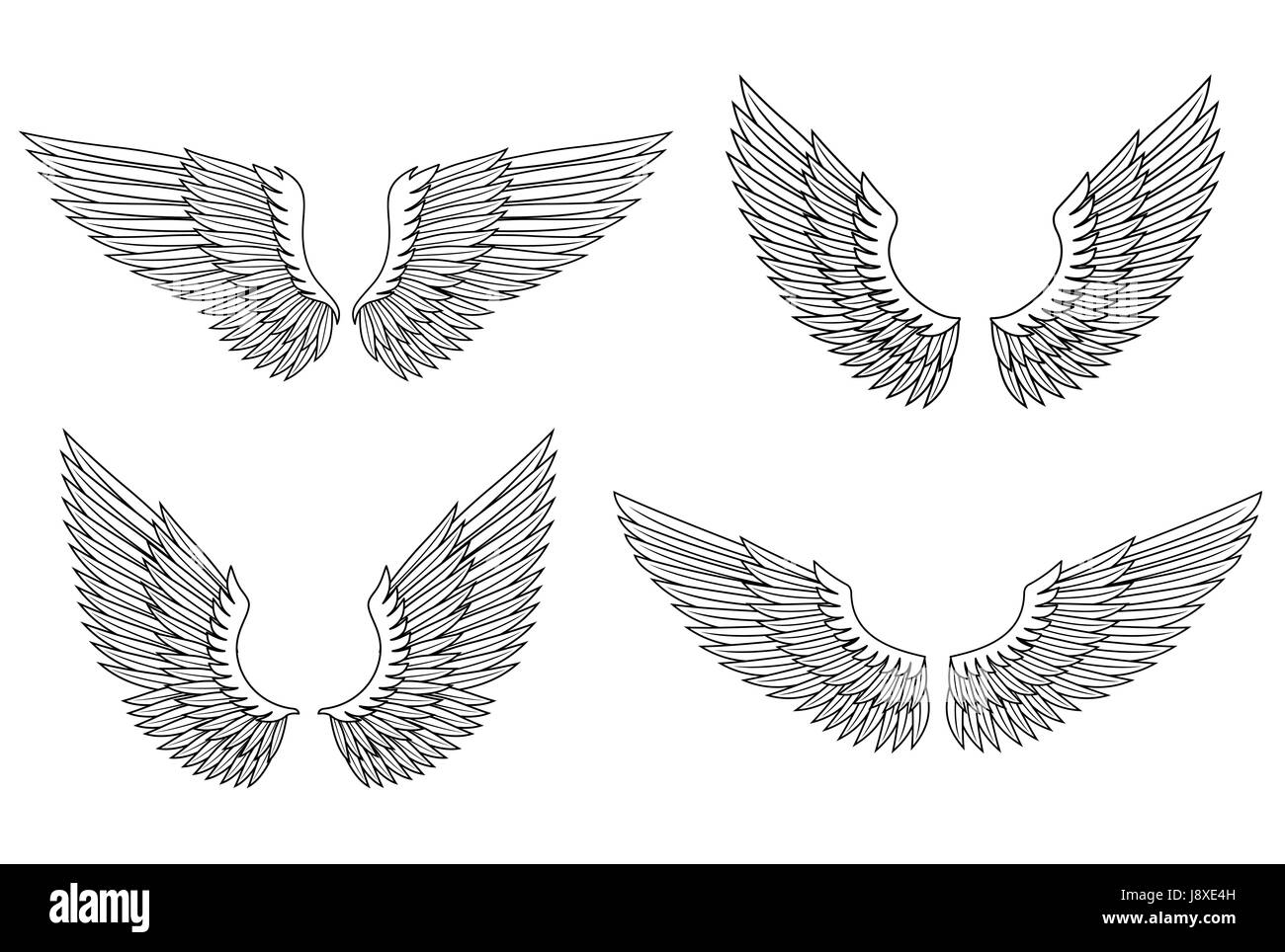 black, swarthy, jetblack, deep black, wing, angel, angels, heraldry ...