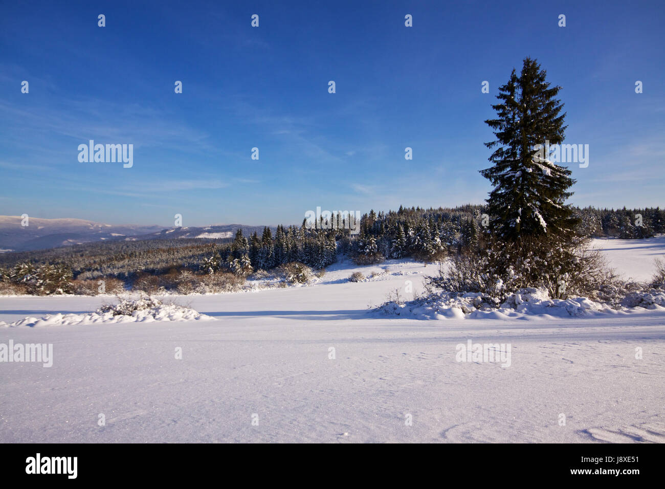 mountains, winter, slovakia, snowy, meadows, sight, view, outlook ...