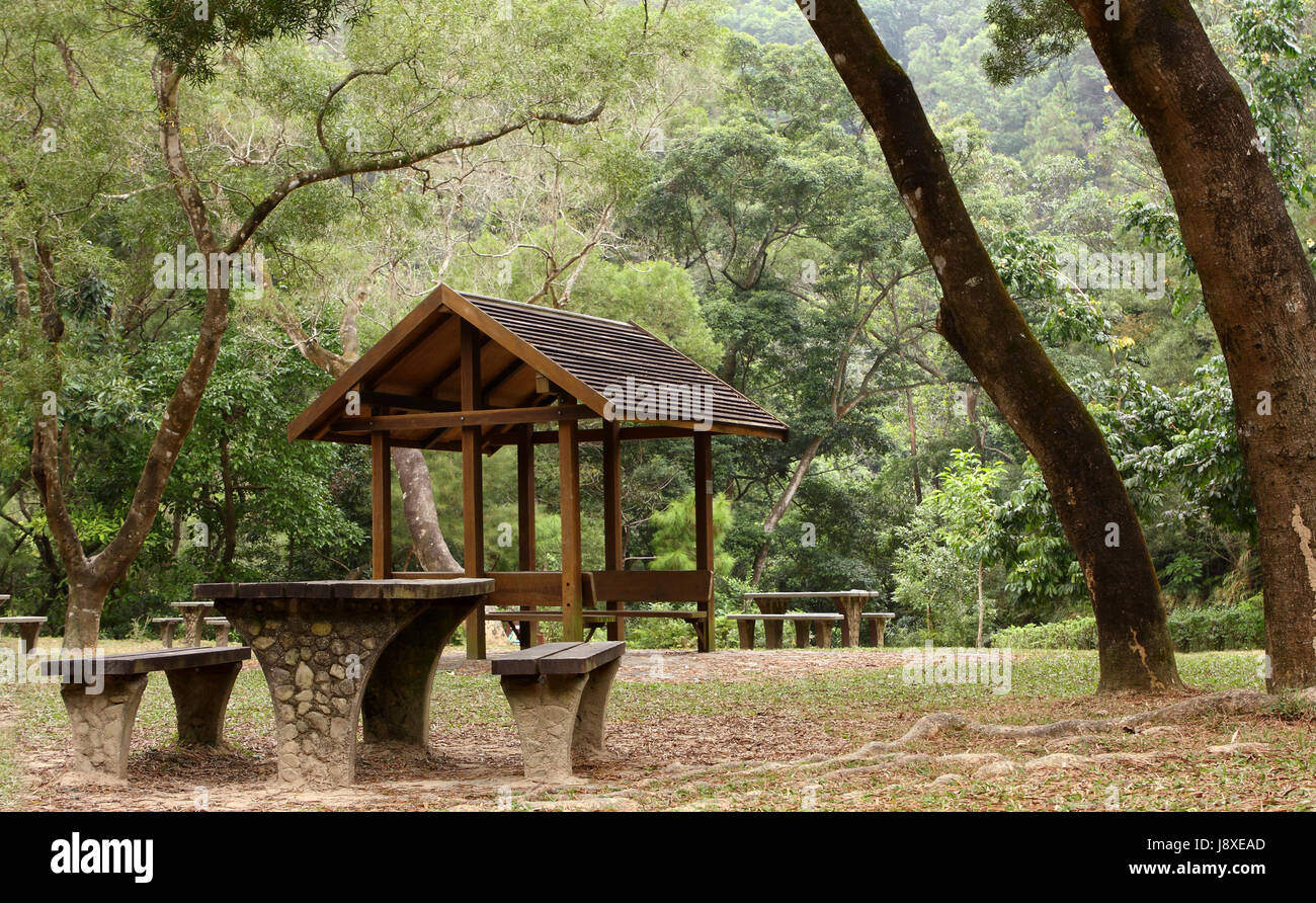 park, small, tiny, little, short, pavilion, among, backdrop, background ...