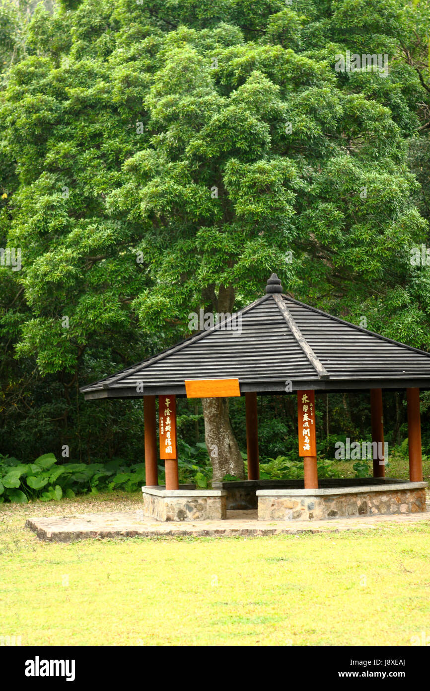 park, small, tiny, little, short, pavilion, among, backdrop, background ...