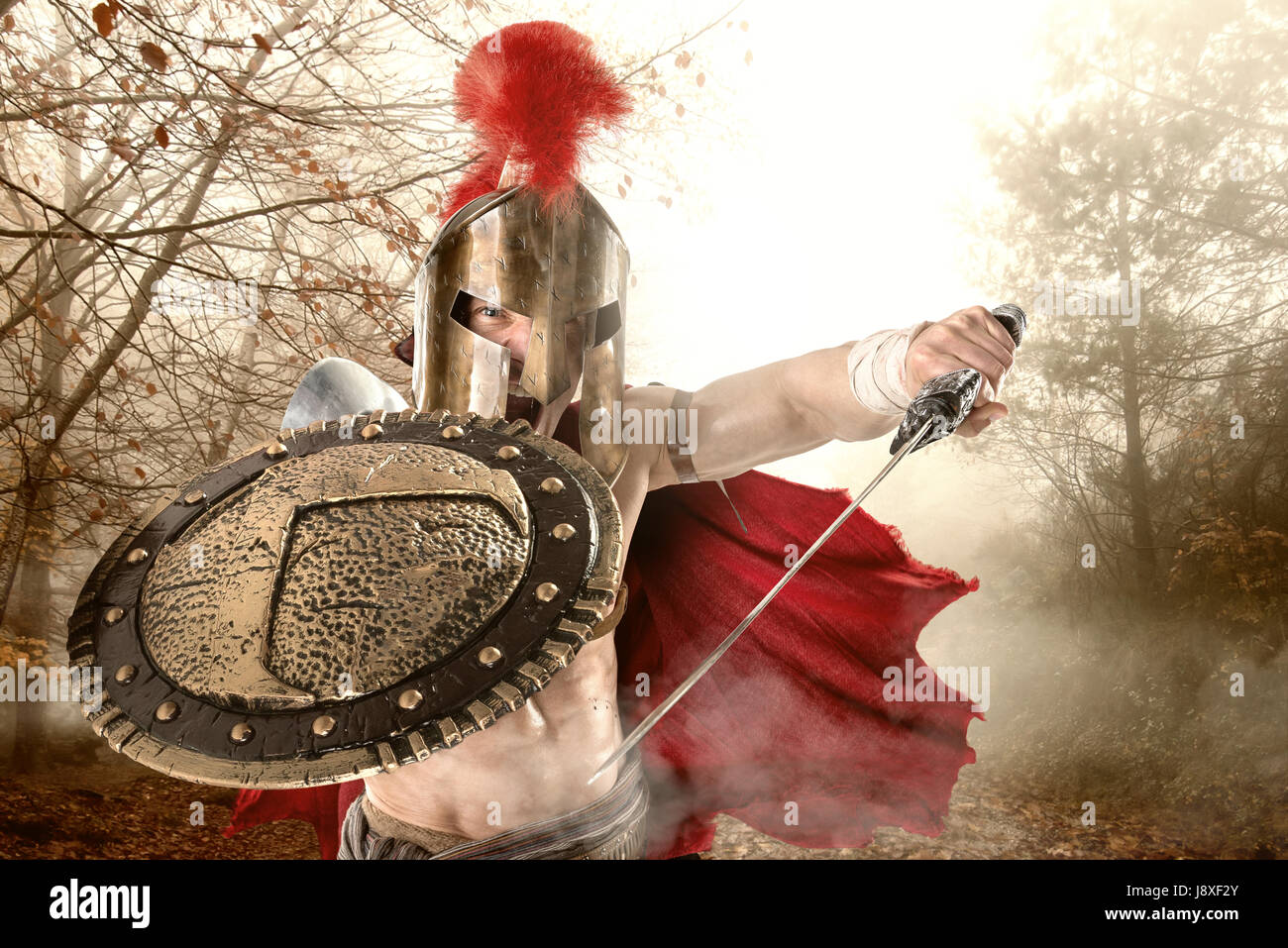 Ancient warrior or Gladiator ready to battle in a forest Stock Photo ...