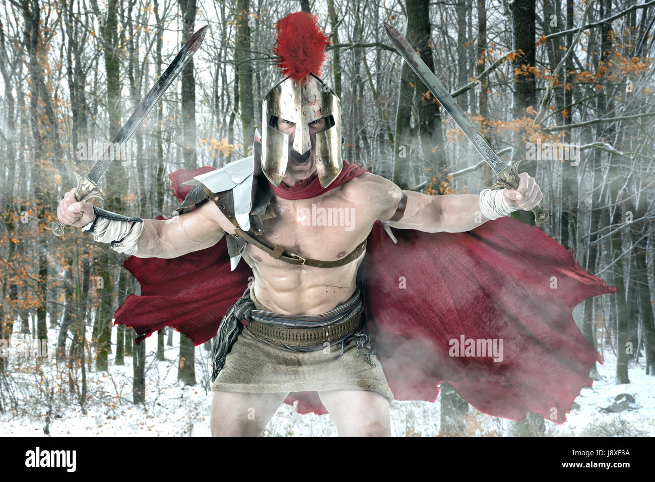 Ancient warrior or Gladiator ready to battle in a forest Stock Photo ...