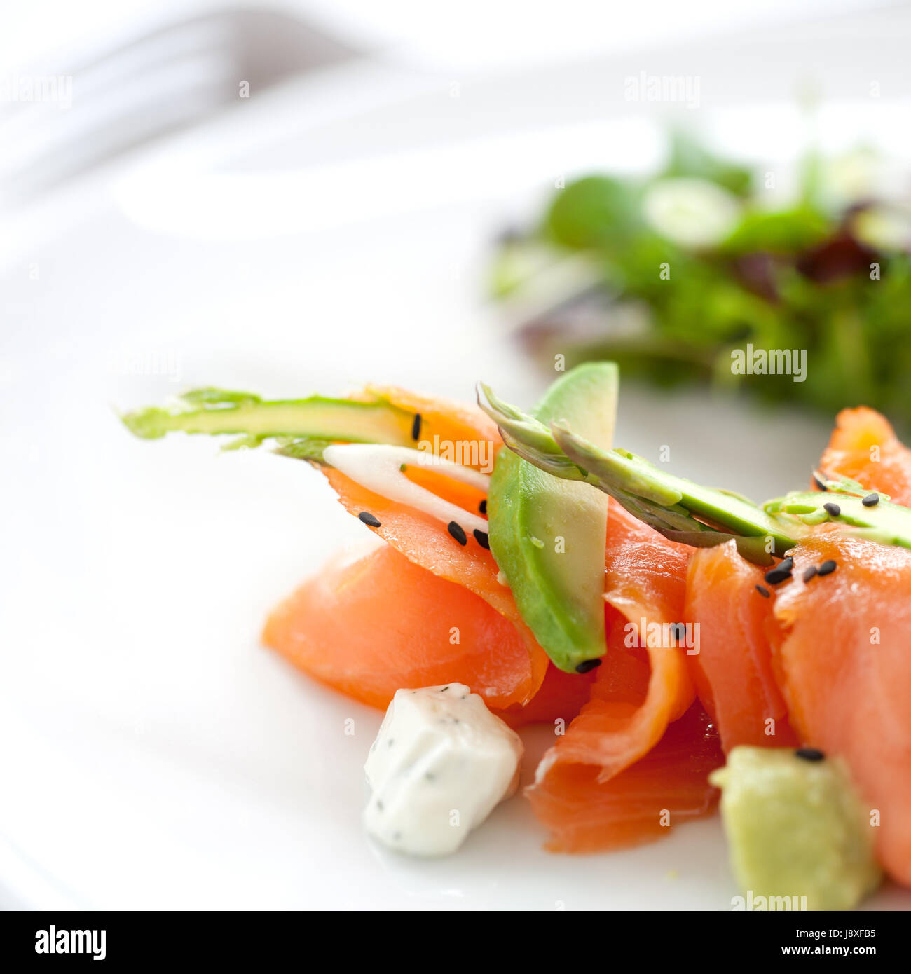 angle, fish, gourmet, seafood, salmon, salad, fresh, restaurant, food ...
