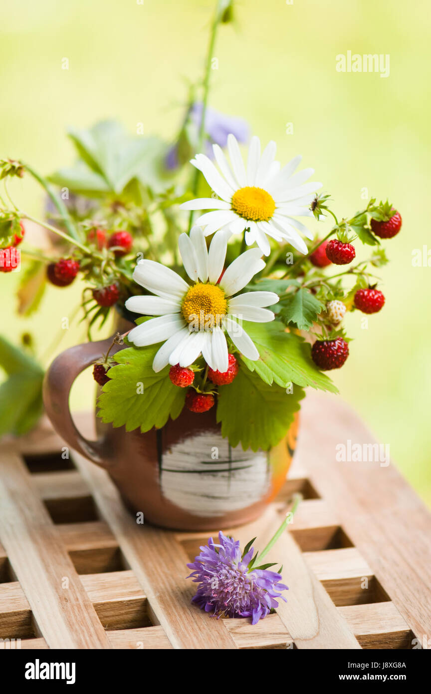 bloom, blossom, flourish, flourishing, summer, summerly, bouquet ...