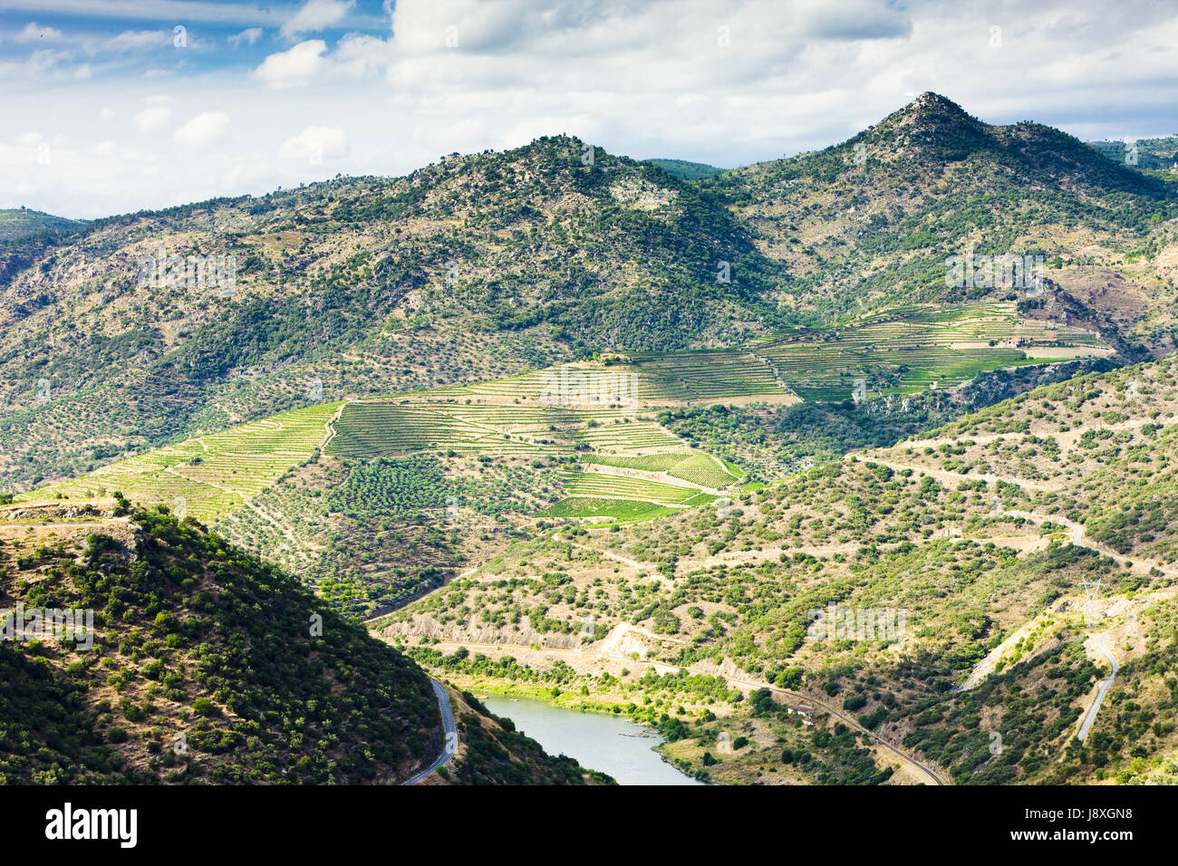 europe, portugal, travel, vineyards, europe, vineyard, outdoor, outside ...