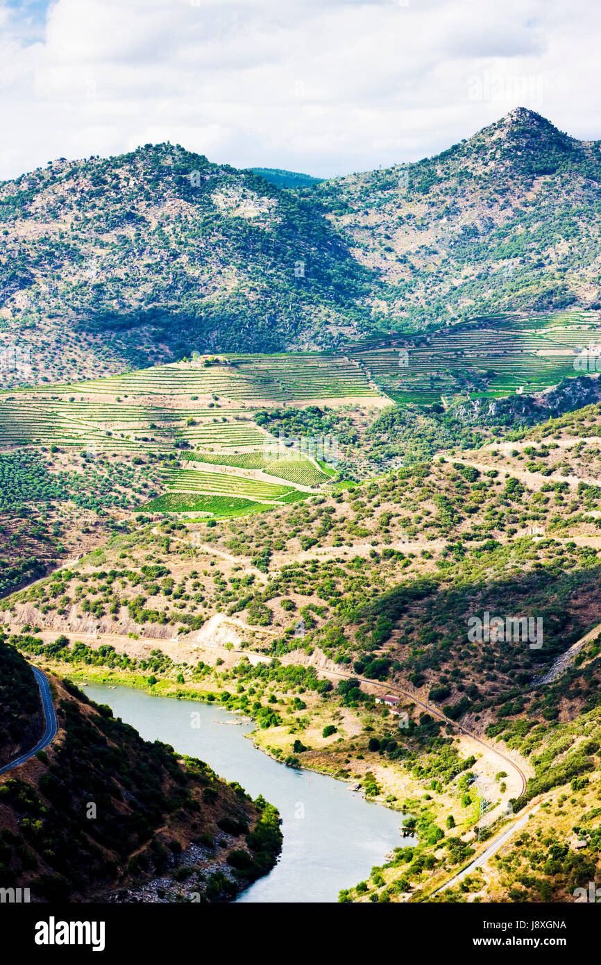 europe, portugal, travel, vineyards, europe, vineyard, outdoor, rivers ...