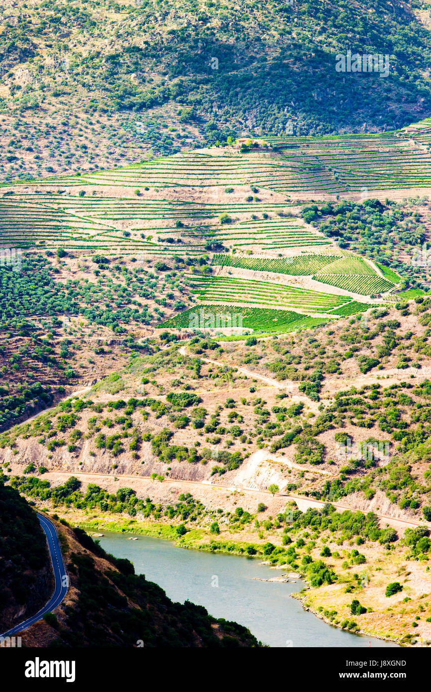 europe, portugal, travel, vineyards, europe, vineyard, outdoor, rivers ...