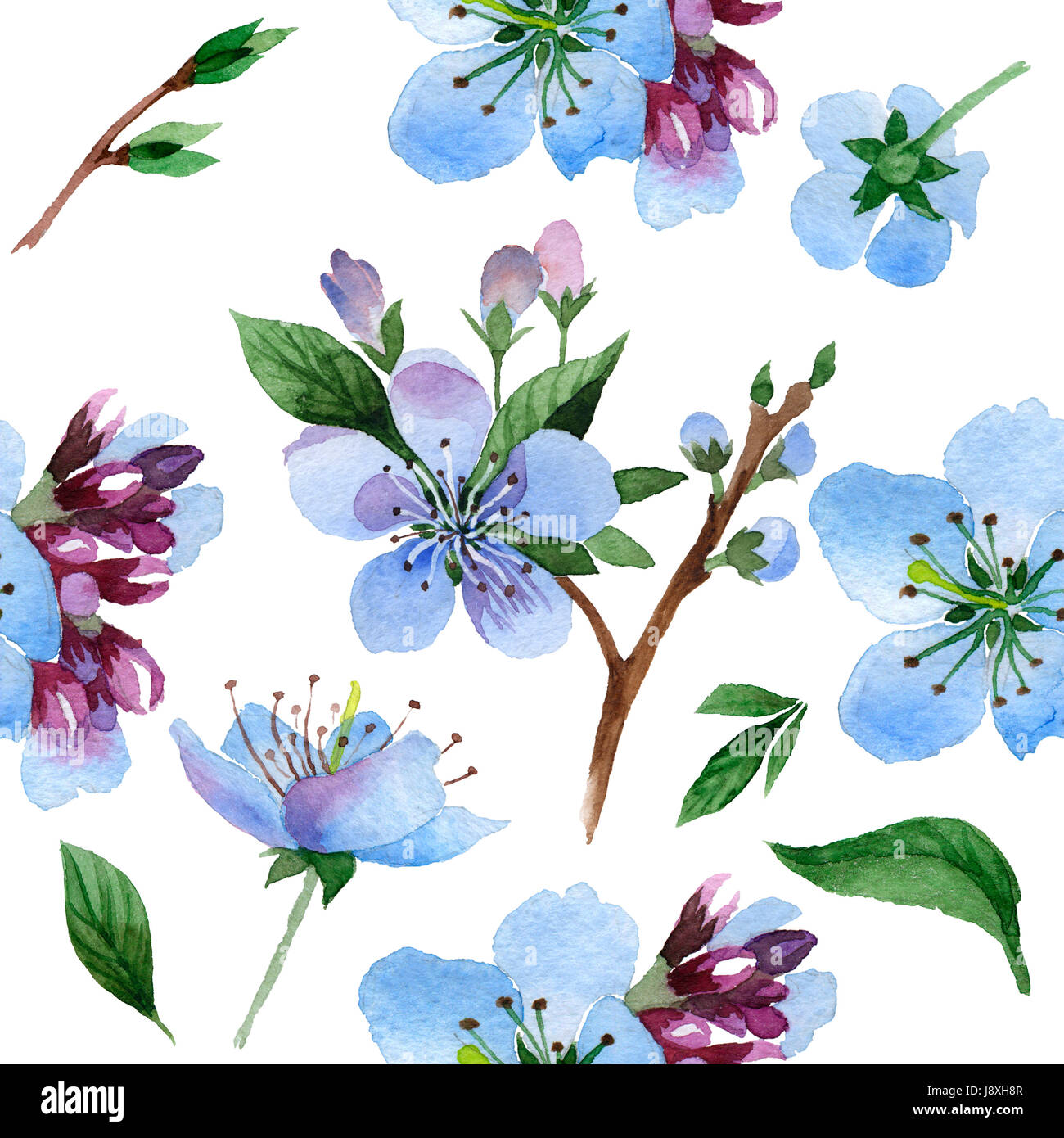 Wildflower cherry flower pattern in a watercolor style isolated Stock ...