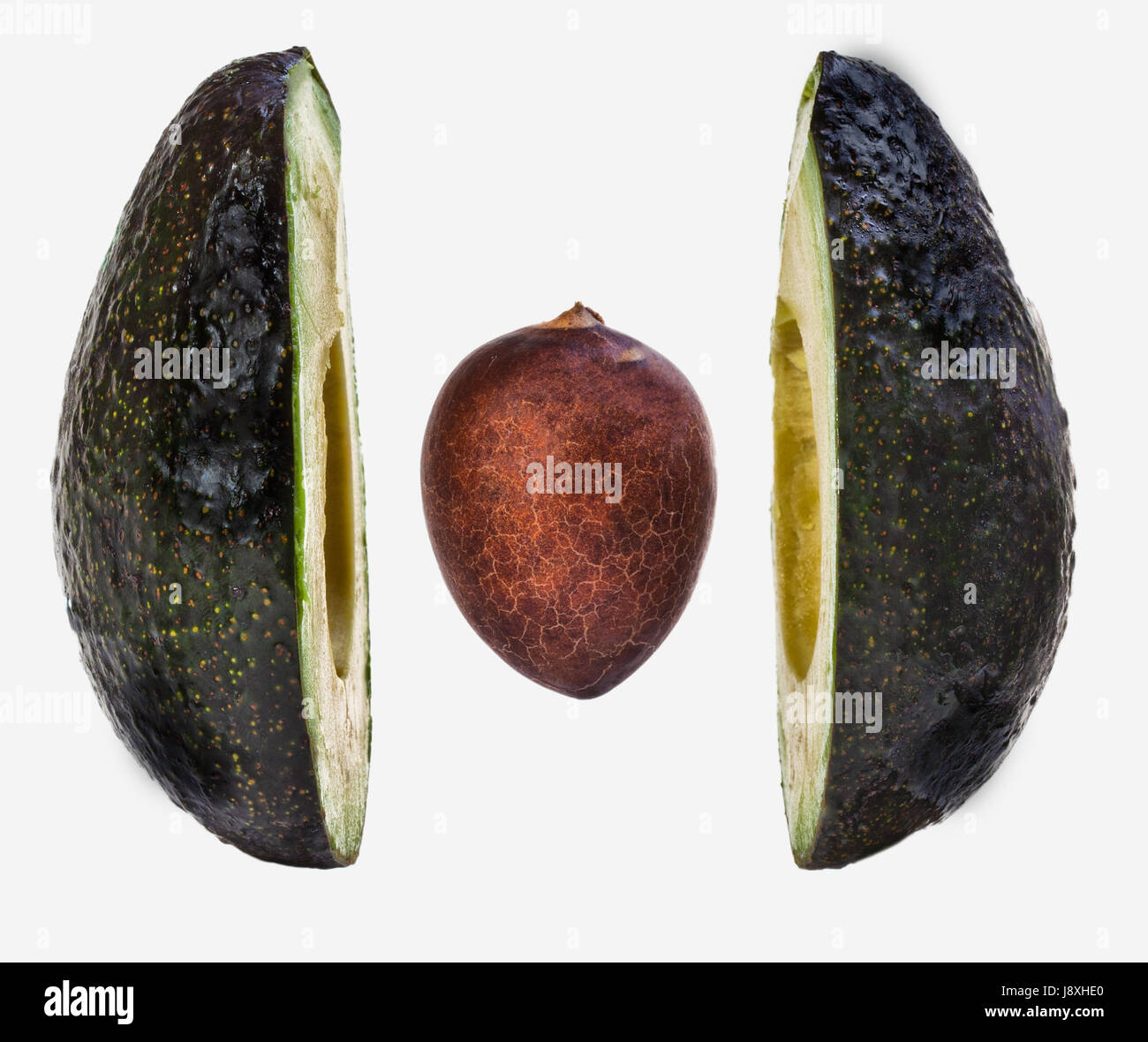 model, design, project, concept, plan, draft, fruit, cut, sliced ...