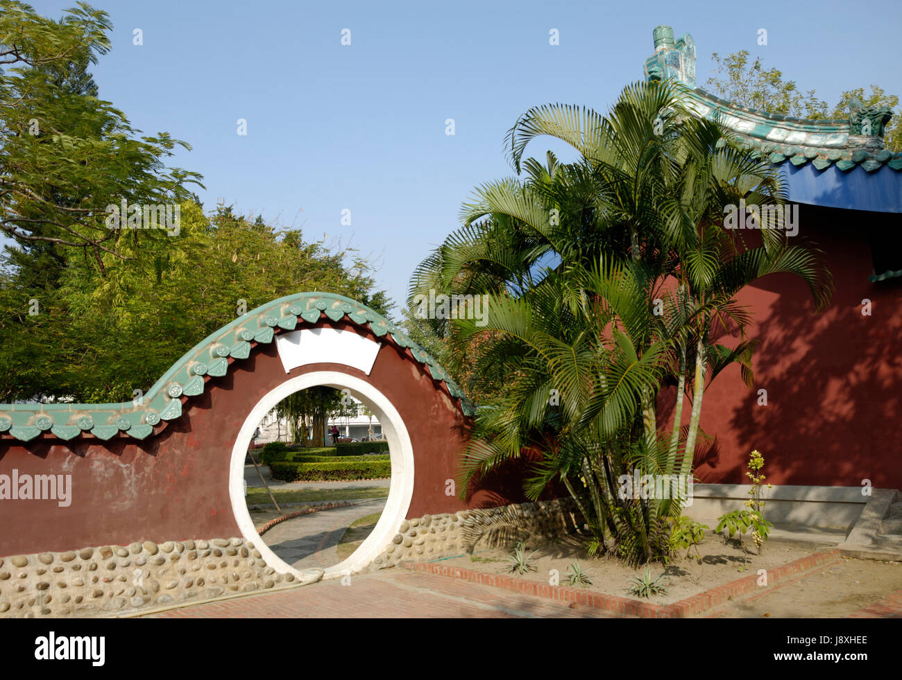 palms, chinese, taiwan, palmtrees, blue, tree, trees, park, green, asia ...
