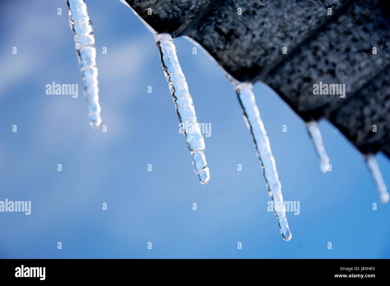 Snow and Ice. Central Brittany. January 2010. Copyright Warren James ...