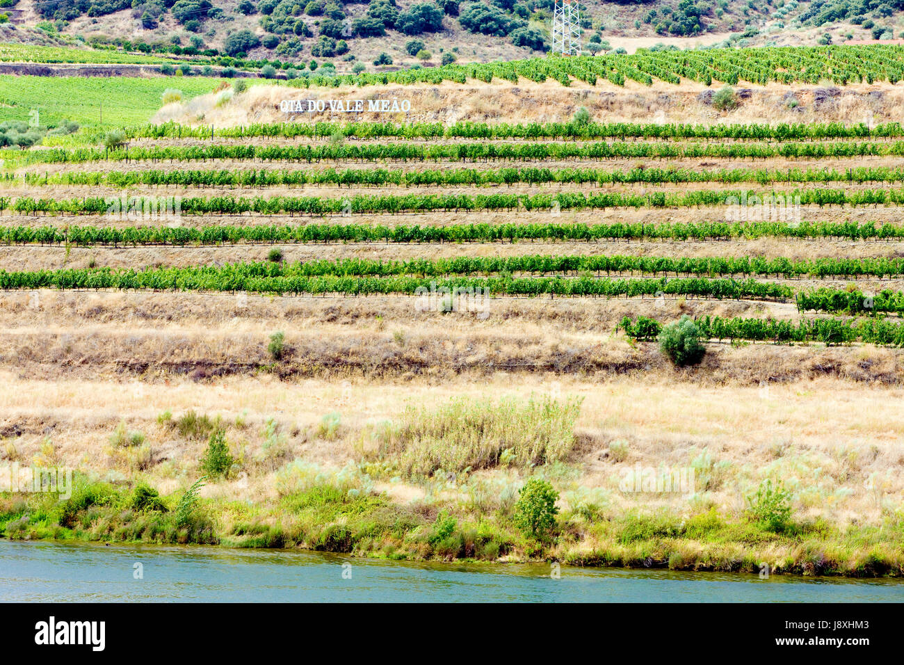 europe, portugal, arrangement, agriculture, farming, vineyards, europe ...