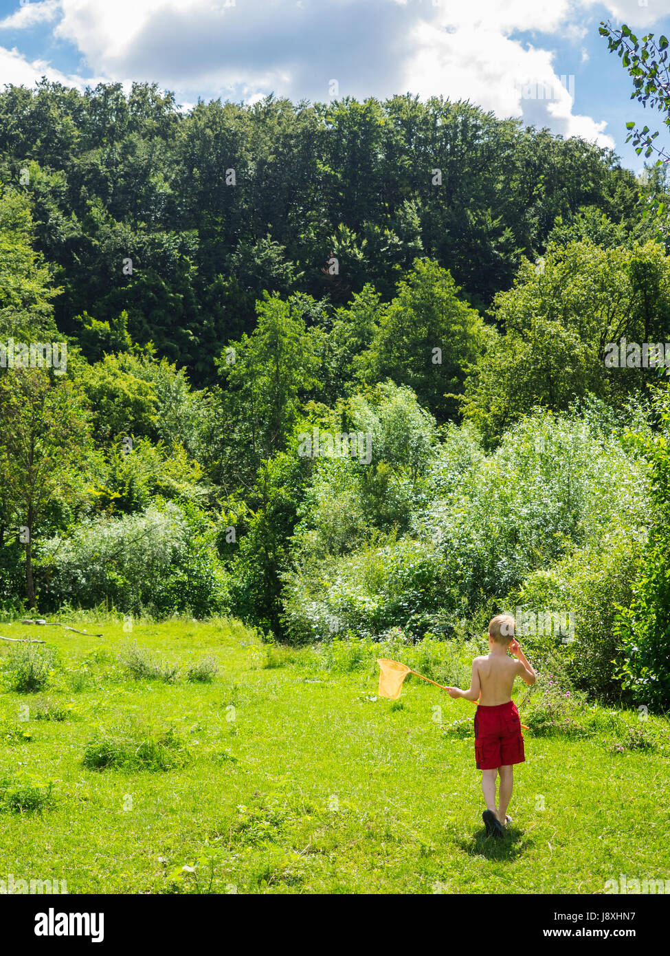 Boy in red shorts with butterfly net Stock Photo - Alamy