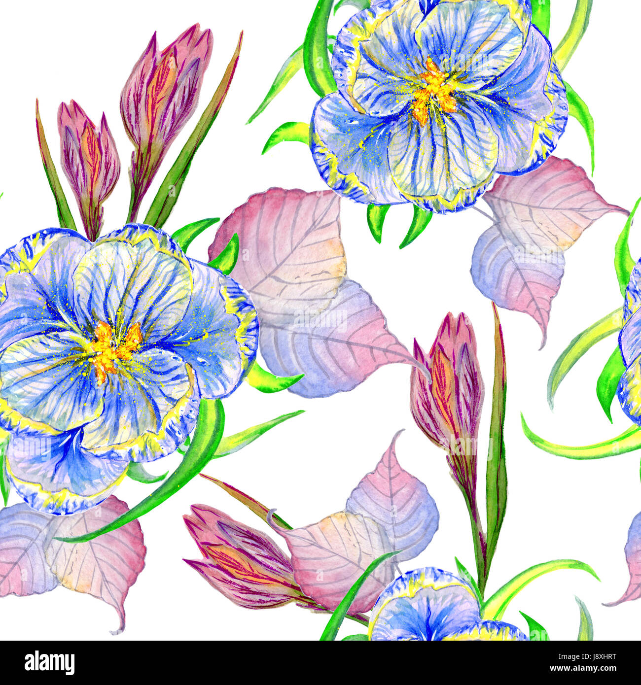 Wildflower crocuses flower pattern in a watercolor style isolated Stock ...