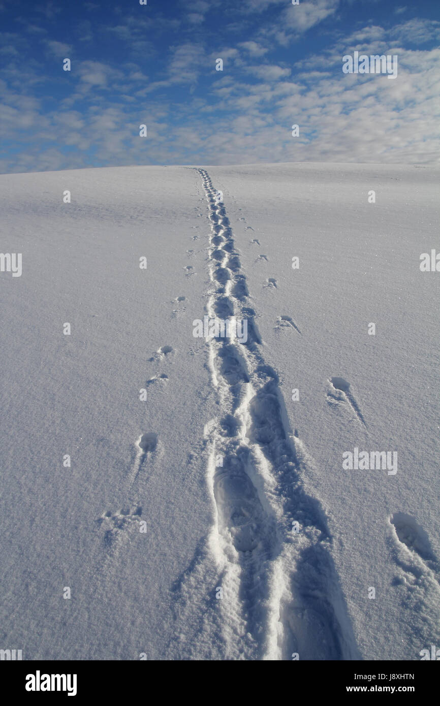 Lead er hi-res stock photography and images - Alamy