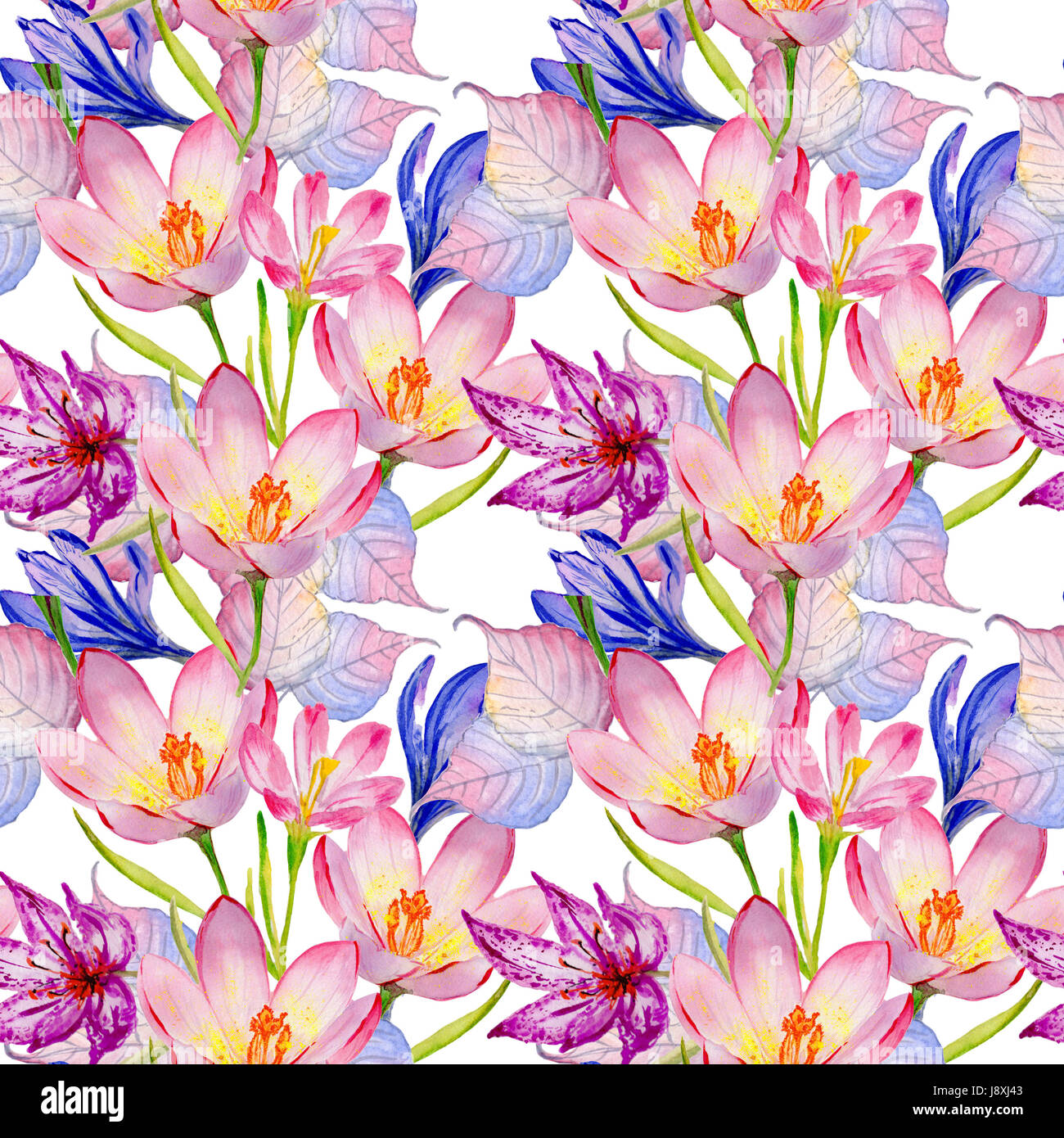 Wildflower crocuses flower pattern in a watercolor style isolated Stock ...