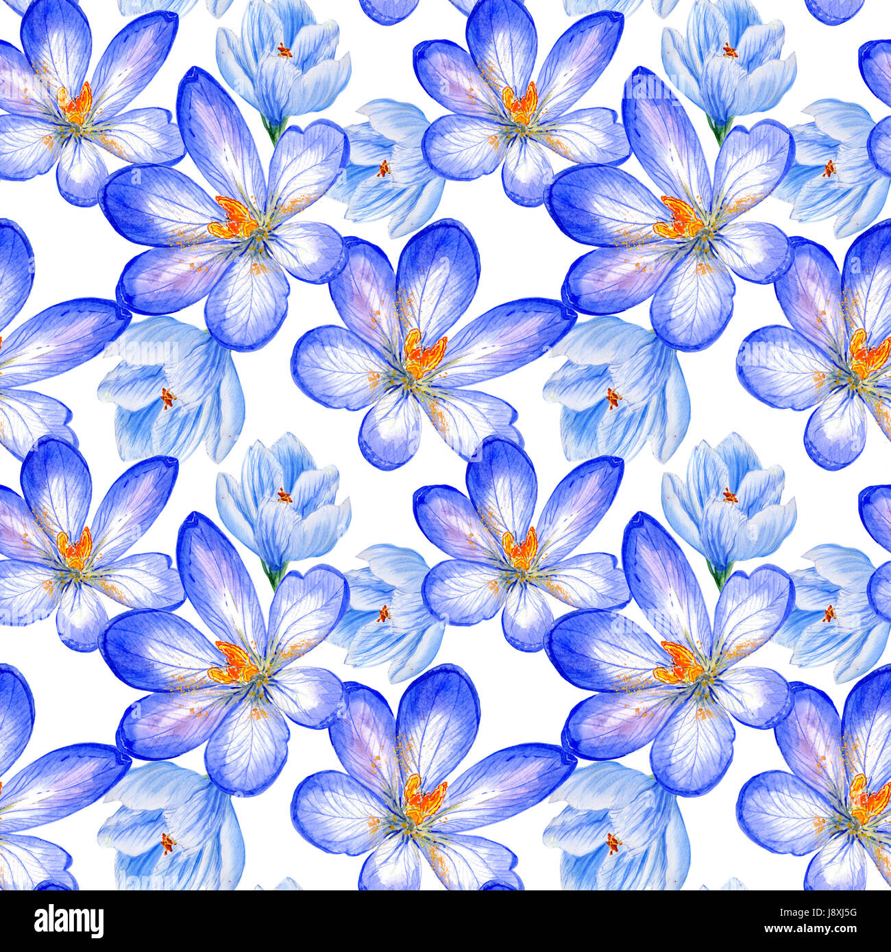 Wildflower crocuses flower pattern in a watercolor style isolated Stock ...