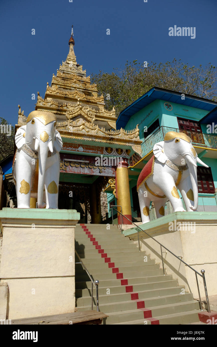 elephant in front of a temple on mount popa Stock Photo - Alamy
