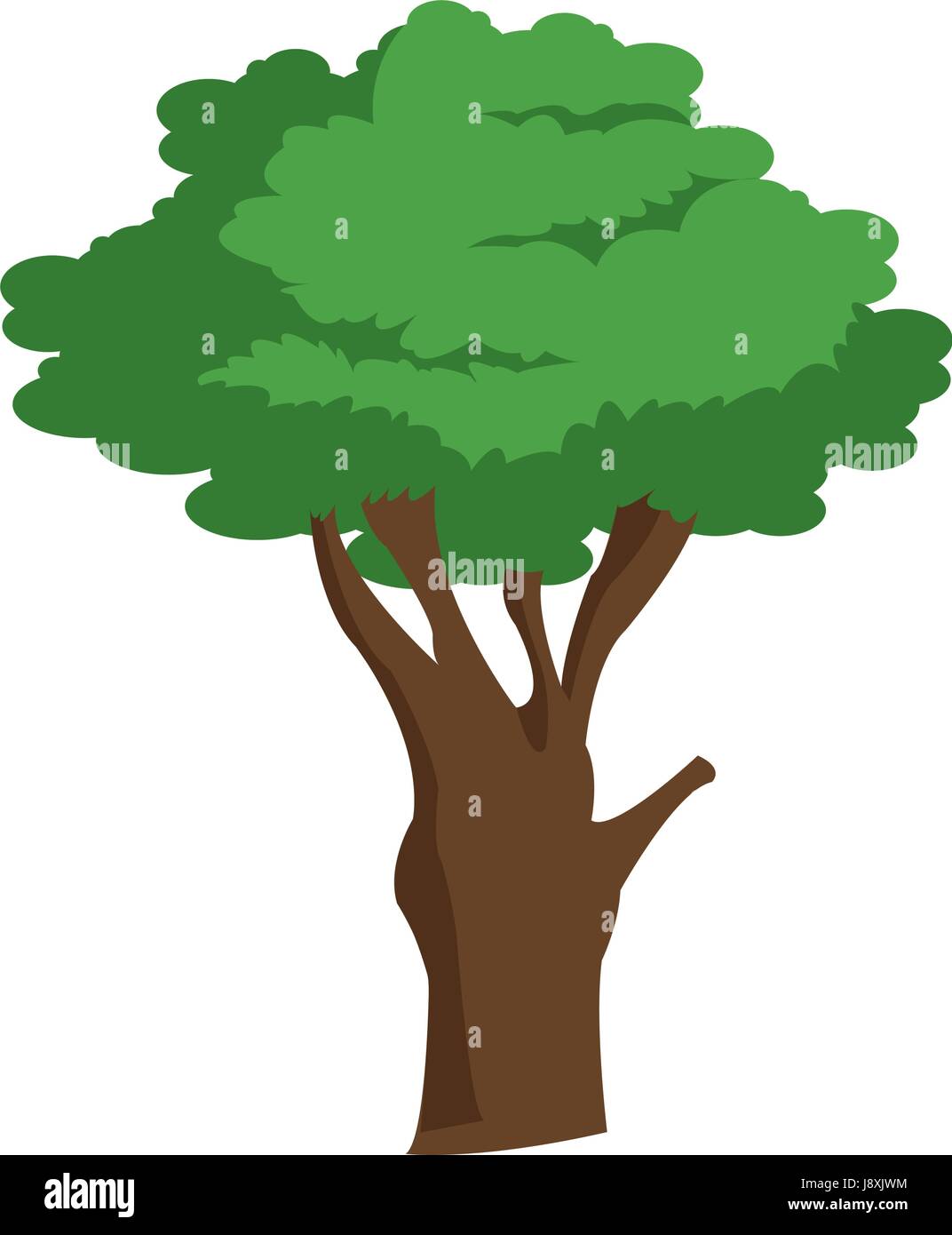 tree branch trunk stem foliage botanical Stock Vector Image & Art - Alamy