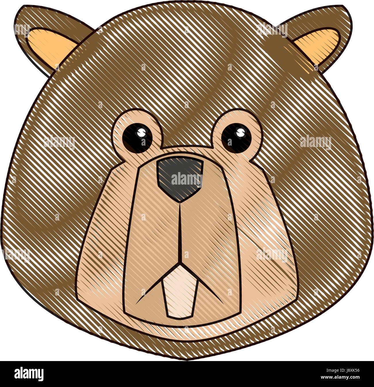 cartoon beaver teeth animal of forest Stock Vector Image & Art - Alamy