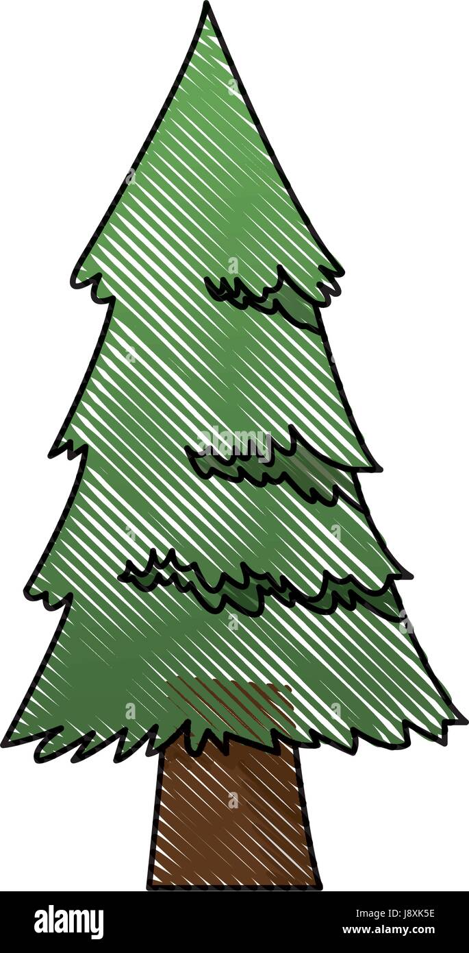 cartoon pine tree natural plant of forest image Stock Vector Image ...