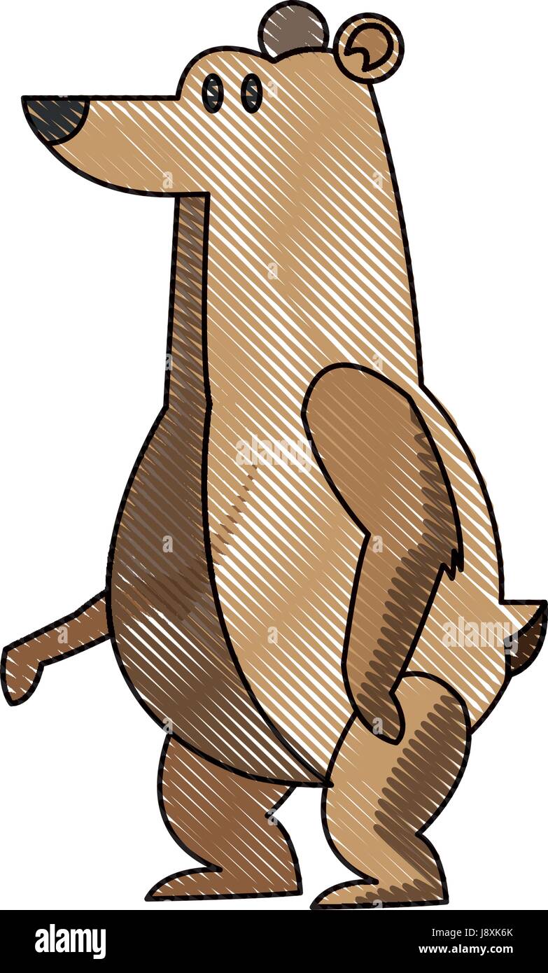 cartoon bear character wildlife animal carnivore design Stock Vector ...