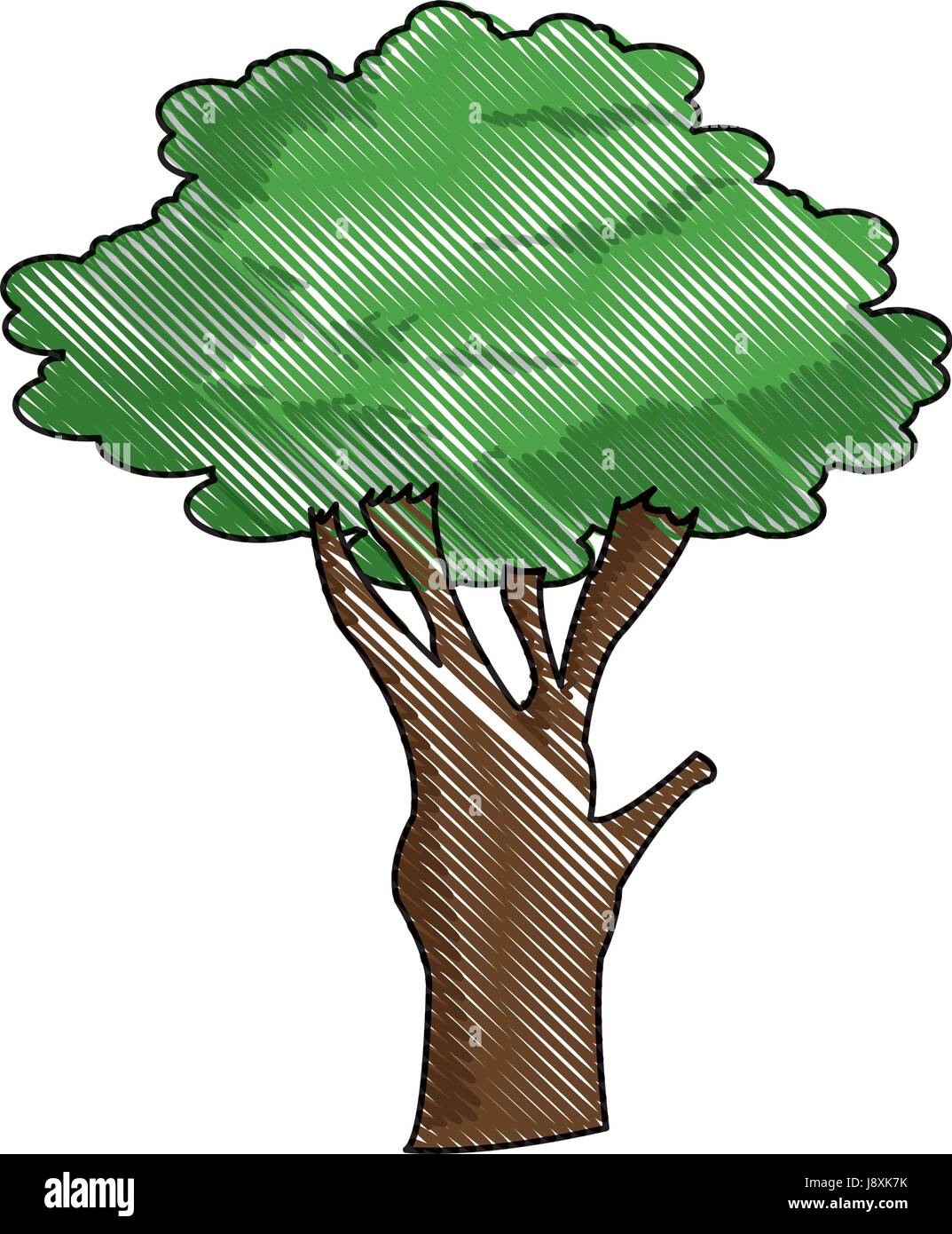 cartoon tree plant natural botanical ecology Stock Vector Image & Art ...