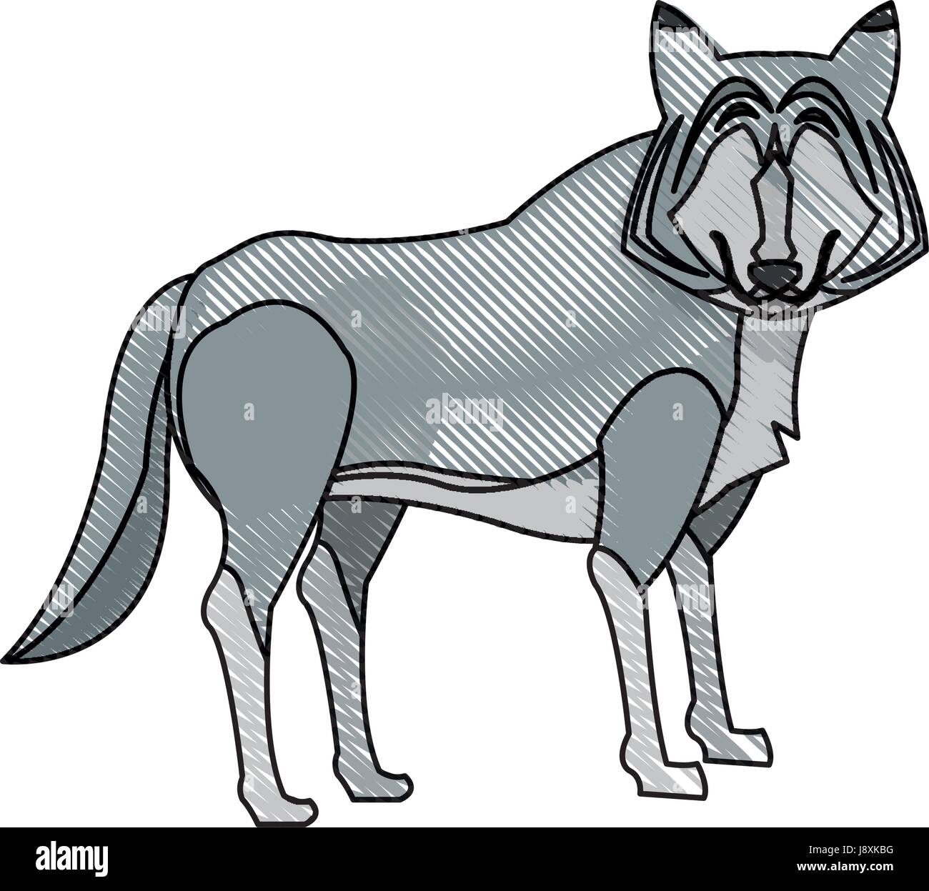 portrait wolf animal danger wildlife vector illustration Stock Vector ...