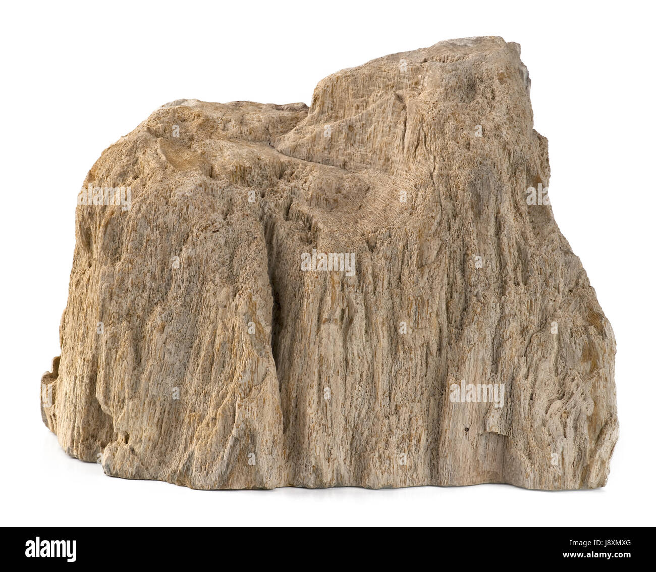 stone, wood, rock, fossil, geology, mineral, texture, single, isolated ...
