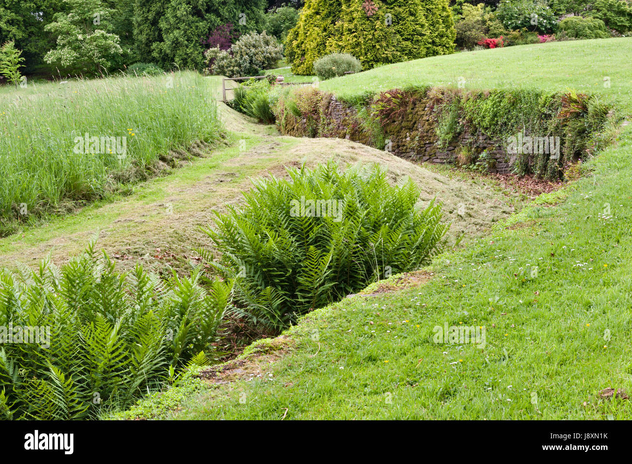 Haha hi-res stock photography and images - Alamy