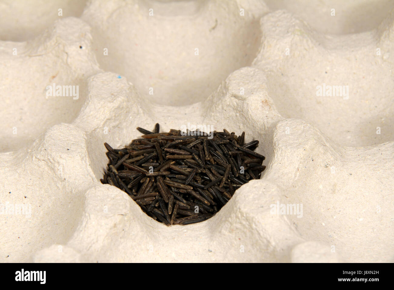 Wasserreis hi-res stock photography and images - Alamy