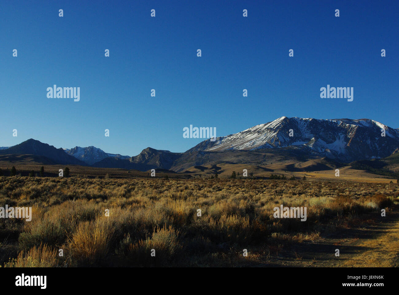 tree, mountains, shrub, bush, mountain range, plateau, blue, tree ...