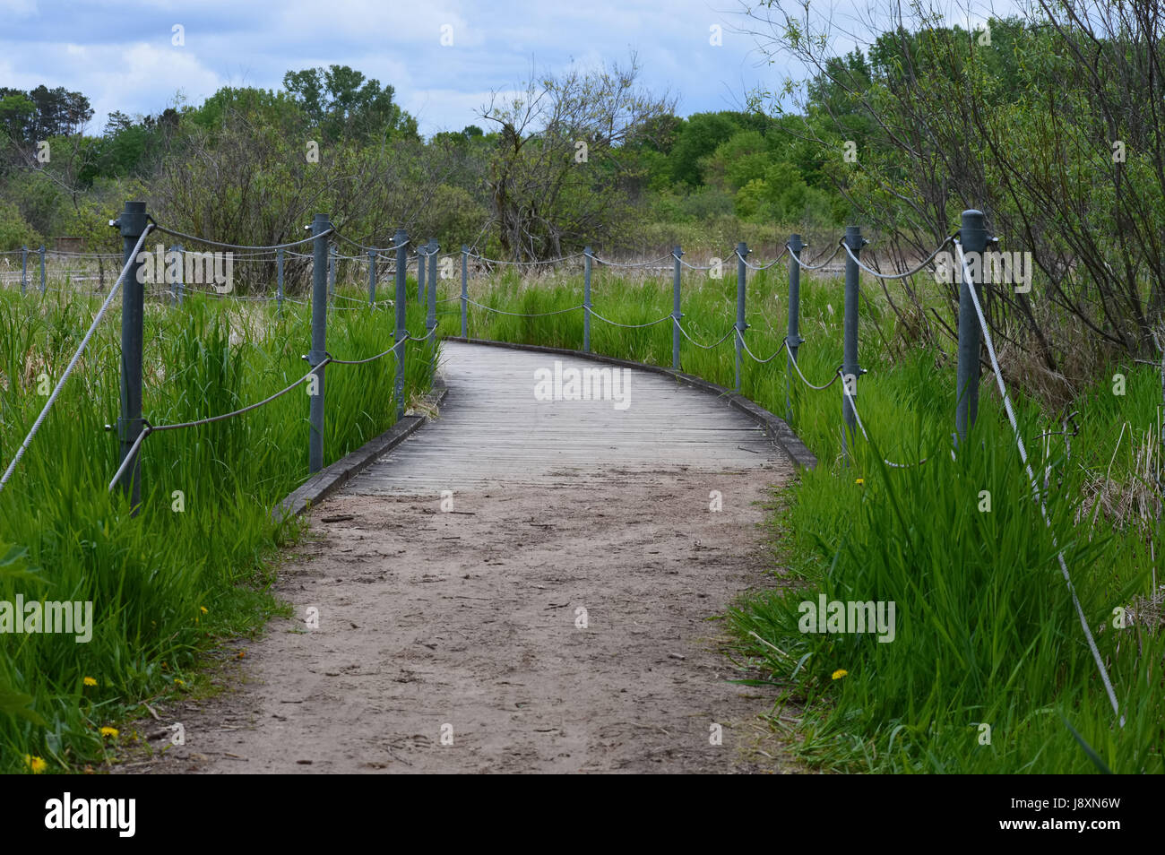 Boardwalk in the wetland Stock Photo - Alamy
